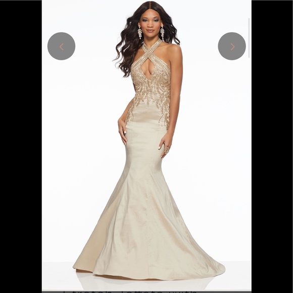 Mori Lee | Dresses | Morelli Taffeta Beadedembroidery Champagnenwt ...